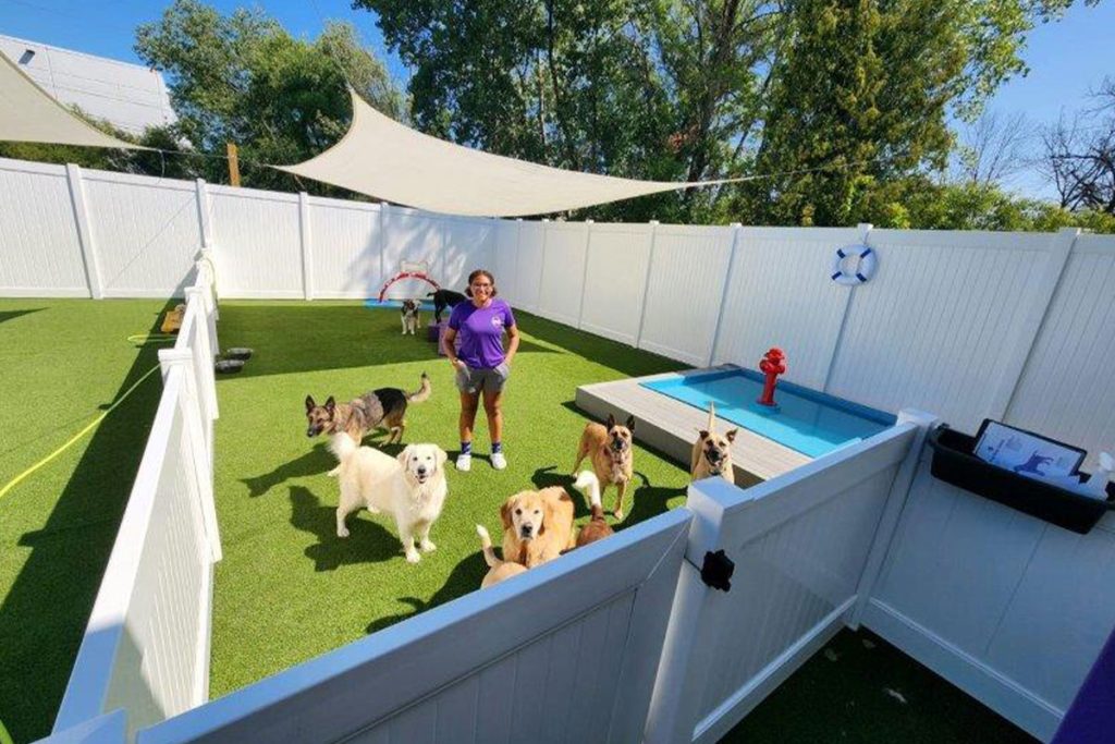 Doggy Day Care Prices at Central Bark New Berlin, WI | Book Now!
