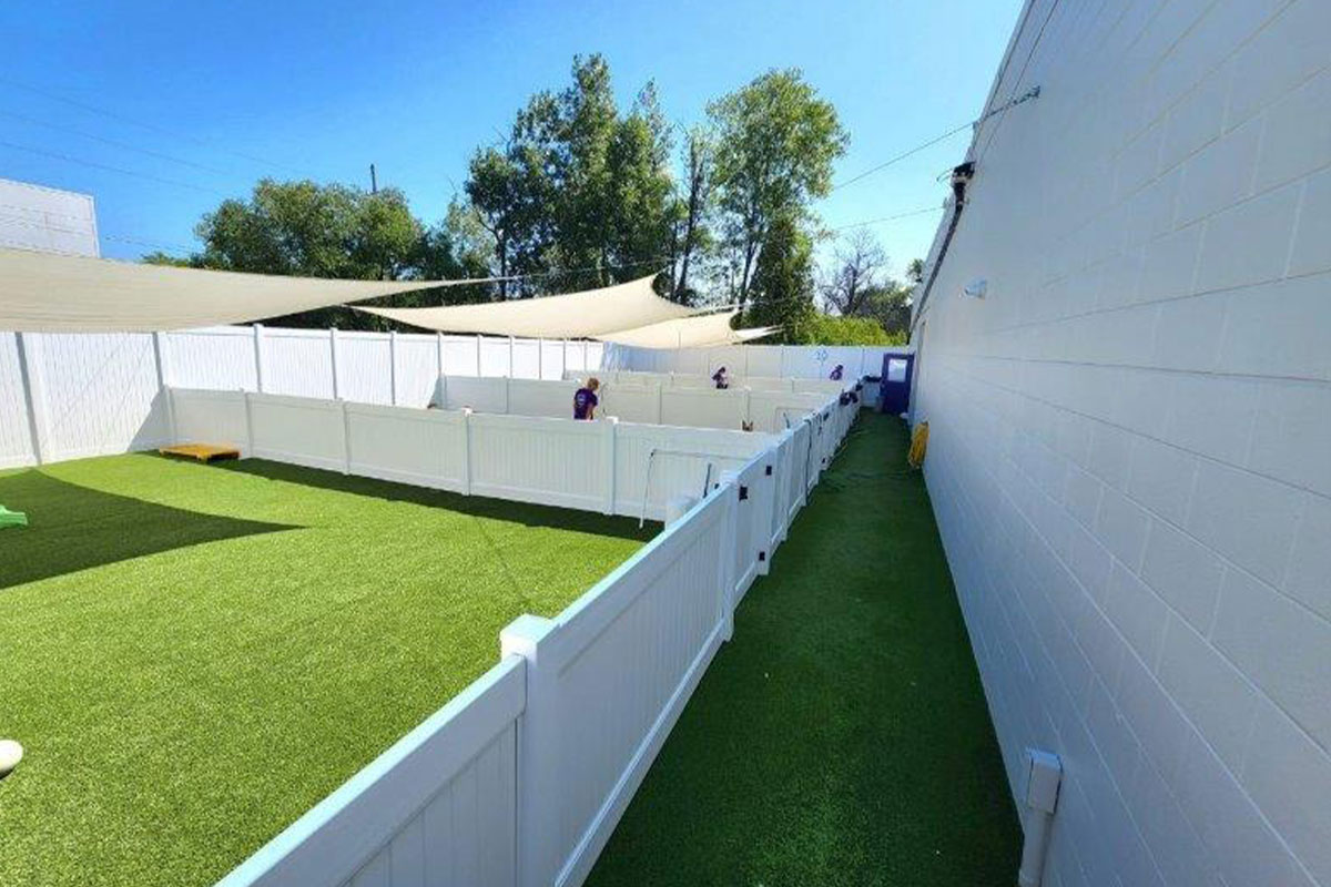 Doggy Day Care Prices at Central Bark New Berlin, WI | Book Now!