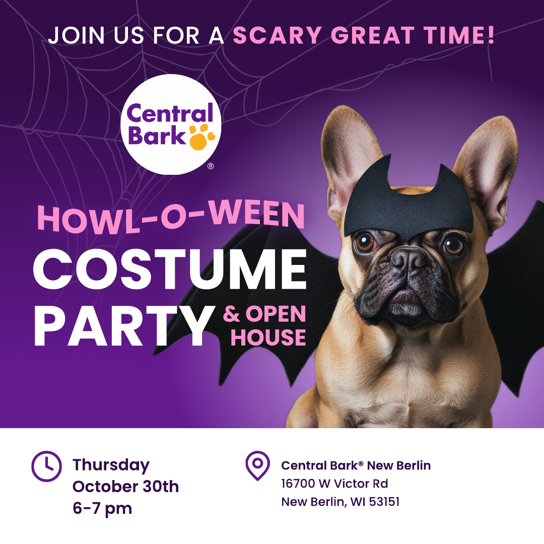 Howl-O-Ween Puppy Hour Event - Central Bark New Berlin