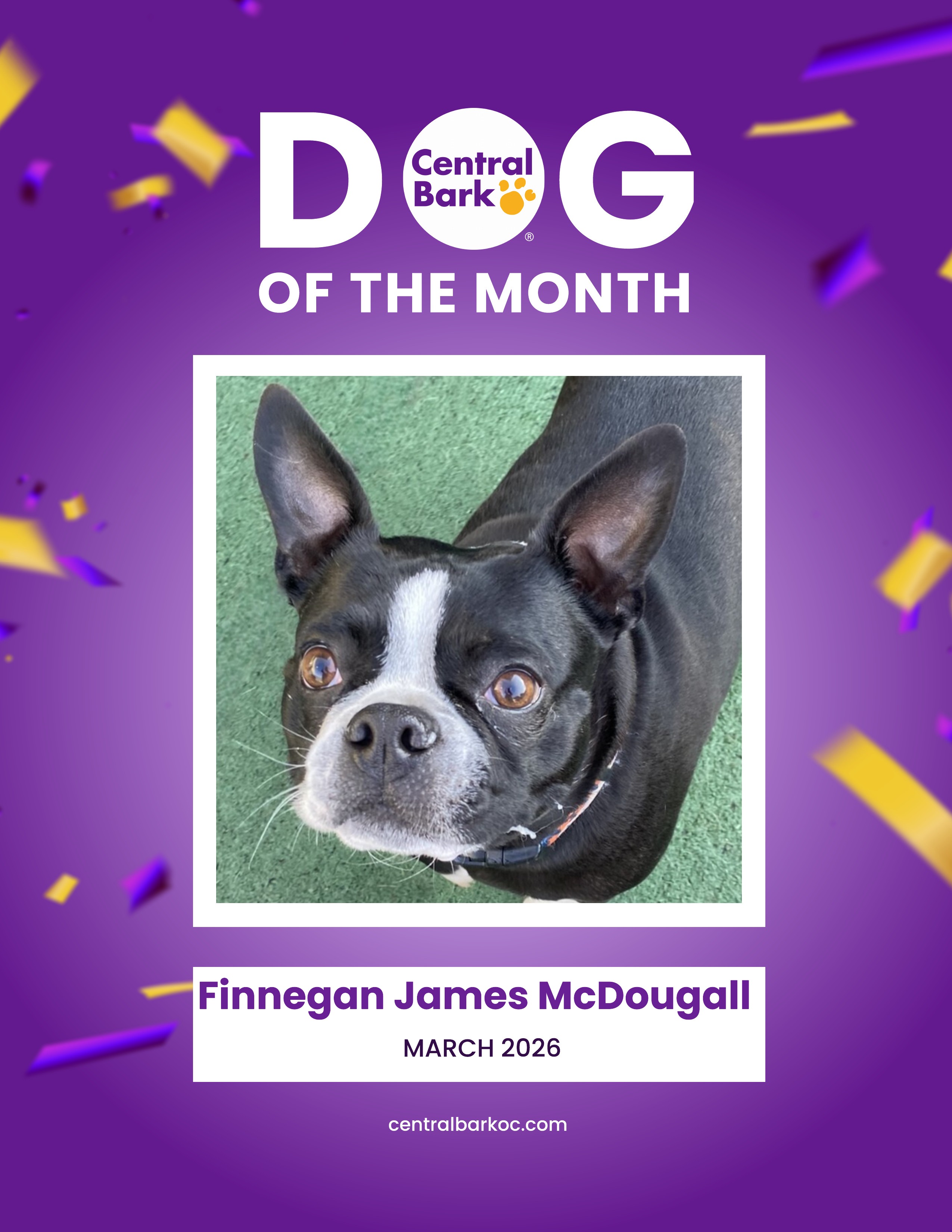 March Dog of the Month: Finnegan James McDougall - Central Bark Oak Creek