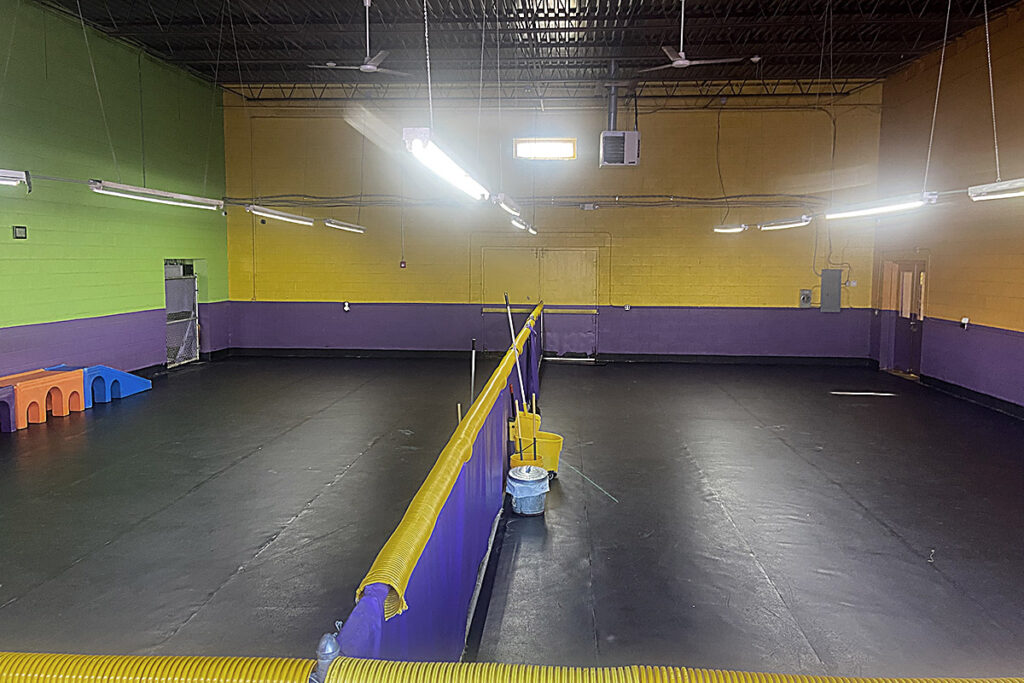 Central Bark Philadelphia, PA | Best Doggy Day Care in Town